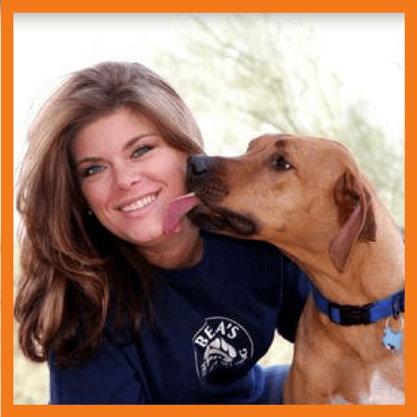 329 How to Use a Blog to Grow an Offline Business - Bella Vasta ...